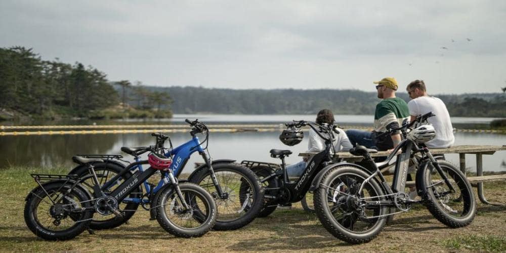Troxus Explorer: The Hottest Electric Bike of 2023 - You Won't Believe ...